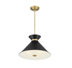 Joss & Main Nysta 3 - Light Single Pendant & Reviews | Wayfair